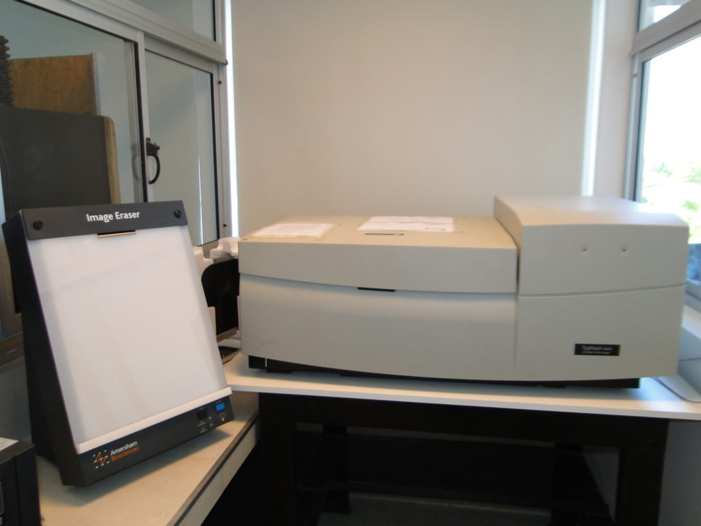 Scanner Typhoon | IAL