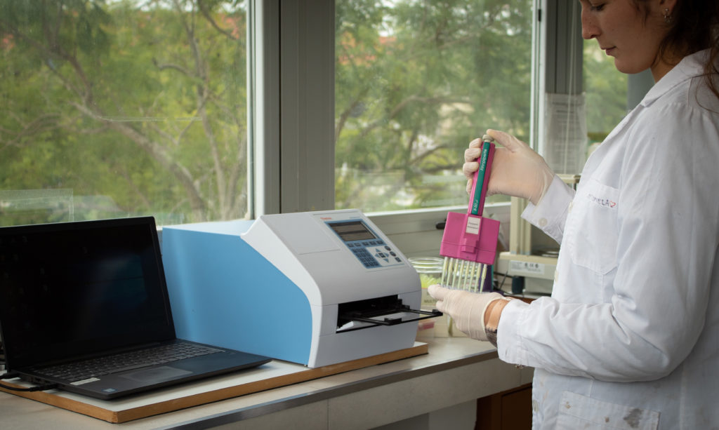 Multiscan GO 1 | IAL